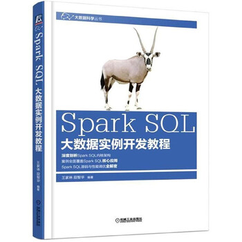 Spark SQL大数据实例开发教程/大数据科学丛书