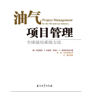 油气项目管理