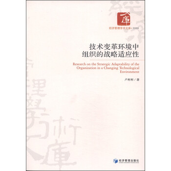 技术变革环境中组织的战略适应性