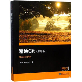 精通Git(影印版)