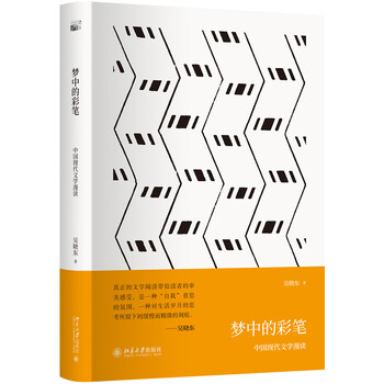 梦中的彩笔 中国现代文学漫读