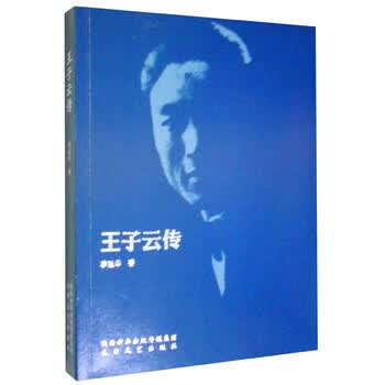 王子云传