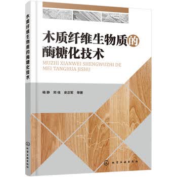 木质纤维生物质的酶糖化技术