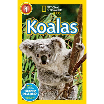 NGR KOALAS 进口儿童绘本