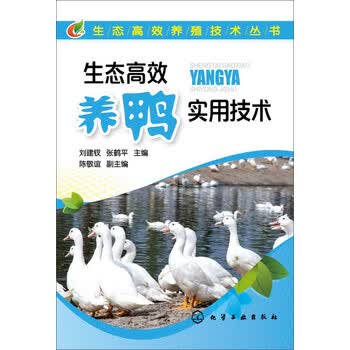 生态高效养鸭实用技术