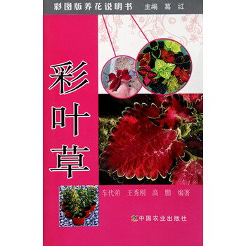 彩叶草/彩图版养花说明书