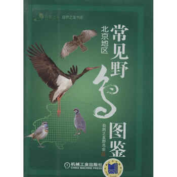 常见野鸟图鉴