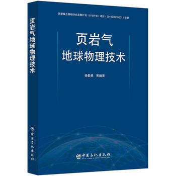 页岩气地球物理技术