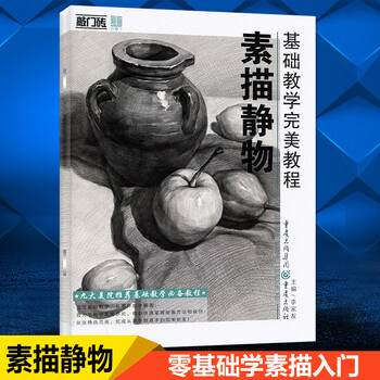 敲门砖基础教学教程素描静物 零基础学素描 从入门到精通强化基础训练单个步骤组合精讲基础范画临摹