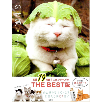 日本进口 萌宠系列 のせ猫 プレミアム  喵星人 顶物猫系列 人气best版