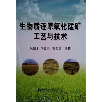 生物质还原氧化锰矿工艺与技术
