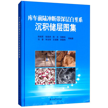 库车前陆冲断带深层白垩系沉积储层图集