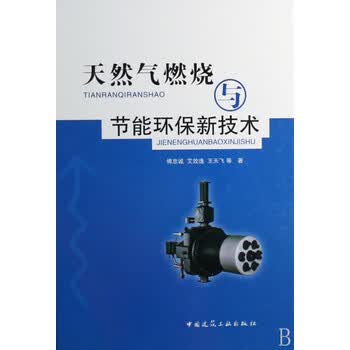 天然气燃烧与节能环保新技术(精)