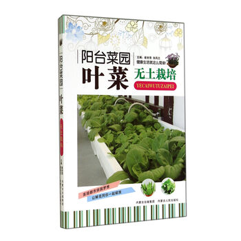 叶菜无土栽培(阳台菜园)