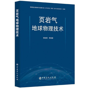 页岩气地球物理技术