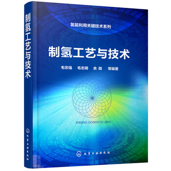 氢能利用关键技术系列--制氢工艺与技术