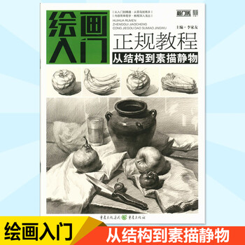 敲门砖绘画入门正规教程从结构到素描静物 零基础学素描静物 临摹范画 结构素描静物基础教程教材书