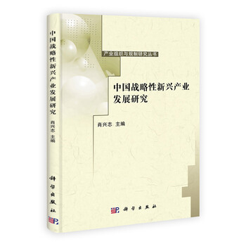 [按需印刷] 中国战略性新兴产业发展研究