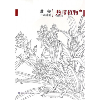 热带植物(3)/唯美白描精选