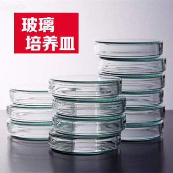 玻璃培养皿 初中高中生物实验器材 教学仪器 细菌皿 75mm