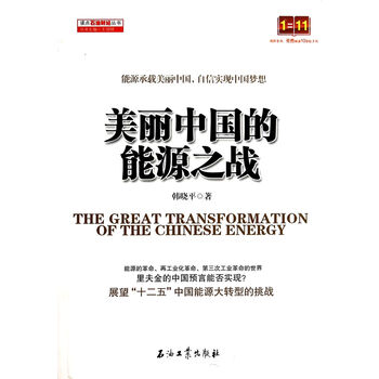 美丽中国的能源之战/读点石油财经丛书