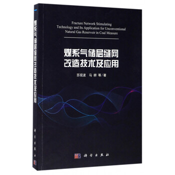 煤系气储层缝网改造技术及应用