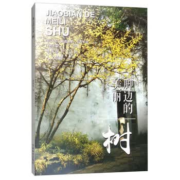 脚边的美丽（树）