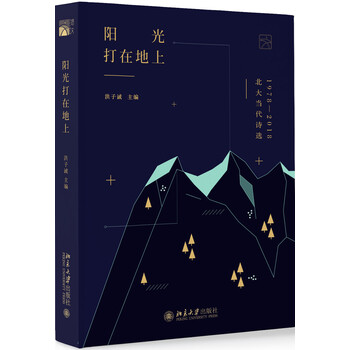 阳光打在地上 北大当代诗选1978—2018