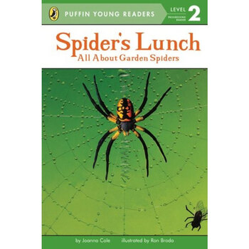 EXP Spider's Lunch PYR LV 2