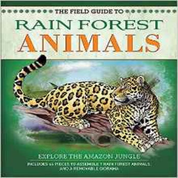 Field Guide to Rainforest Animals