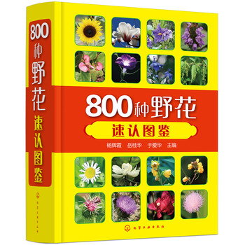 800种野花速认图鉴（精装、全彩图解、铜版纸）