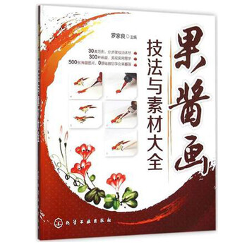 果酱画技法与素材大全 果酱画盘饰围边 盘饰造型设计书写意果酱画盘饰 果酱画入门到精通 装盘