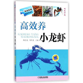高效养小龙虾