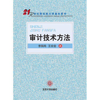 审计技术方法