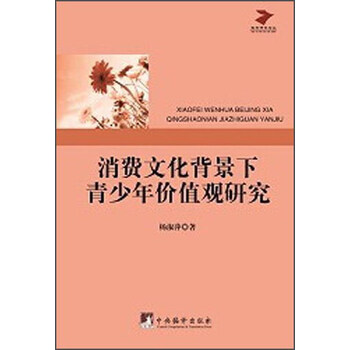 消费文化背景下青少年价值观研究