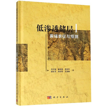 低渗透储层裂缝表征与预测(精)