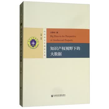 知识产权视野下的大数据