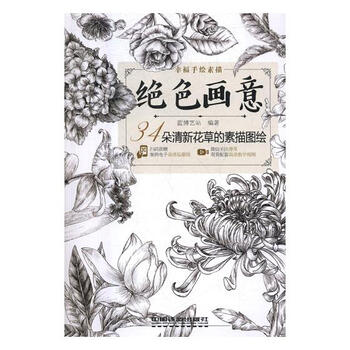 绝色画意  34朵清新花的素描图绘