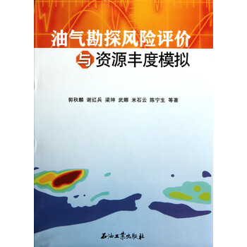 油气勘探风险评价与资源丰度模拟(精)