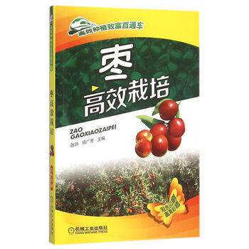 枣高效栽培/高效种植致富直通车