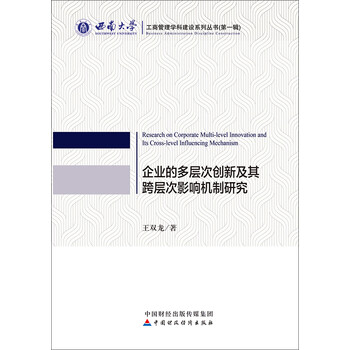 企业的多层次创新及其跨层次影响机制研究
