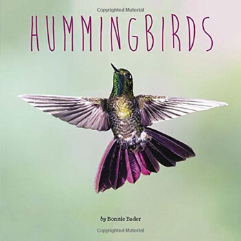Penguin Core Concepts: Hummingbirds