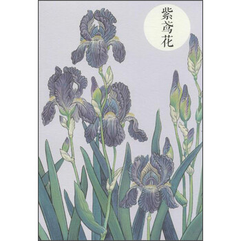 祝大年格调笔记系列：紫鸢花