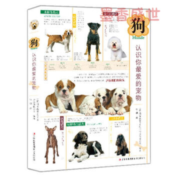 MX 狗 