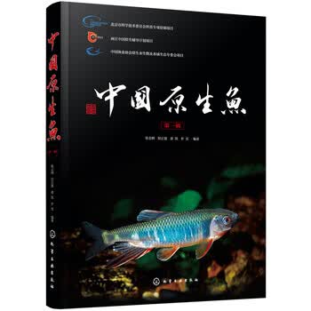 中国原生鱼第辑 活体原生观赏鱼图鉴书集中国特色原生鱼种类介绍书籍淡水鱼野生鱼溪流冷水鱼观赏鱼