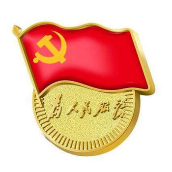 标准型党徽为人民服务 磁扣 别针式 蝴蝶扣 新版党员胸章高档胸徽徽章磁铁团徽 下单留言款式