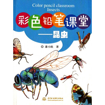 彩色铅笔课堂--昆虫