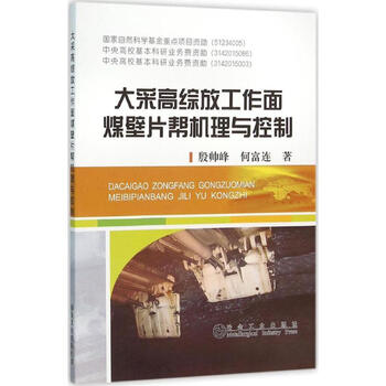 大采高综放工作面煤壁片帮机理与控制