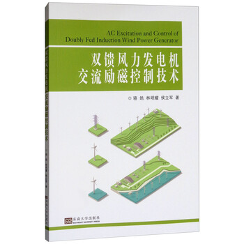 双馈风力发电机交流励磁控制技术