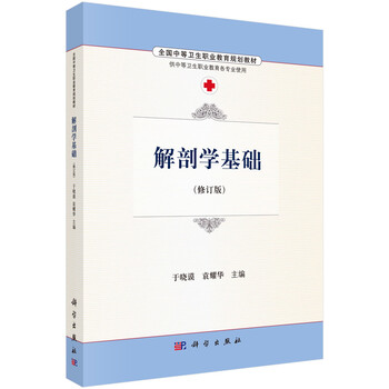 解剖学基础